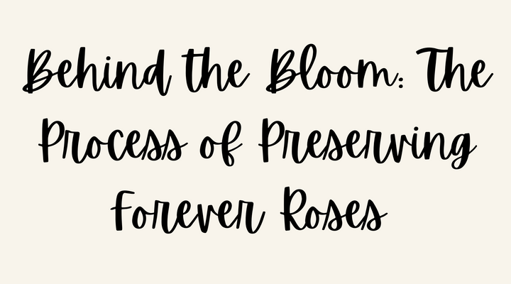 Eternal Roses: The Ultimate Guide to Unique Floral Gifts – Eternal Blossom