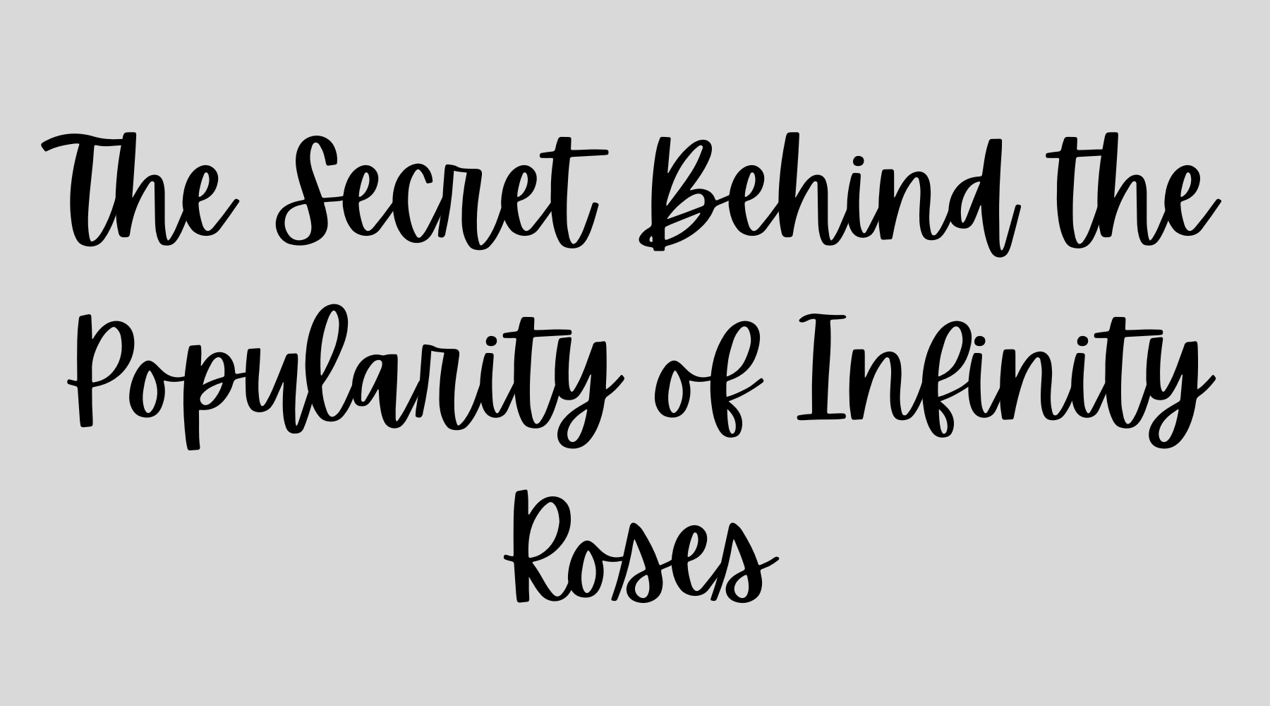 The Secret Behind the Popularity of Infinity Roses – Eternal Blossom