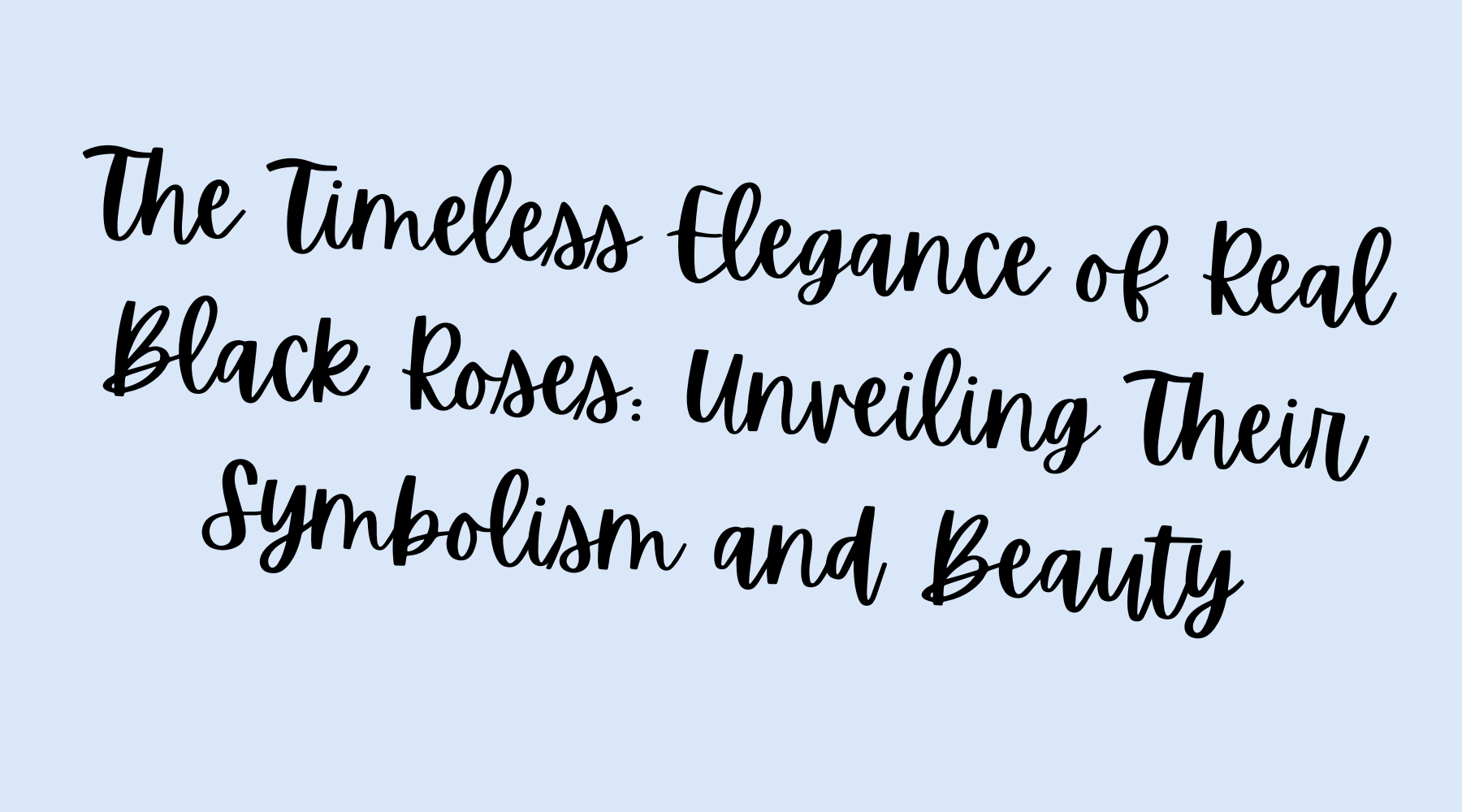 The Timeless Elegance of Real Black Roses: Unveiling Their Symbolism a ...