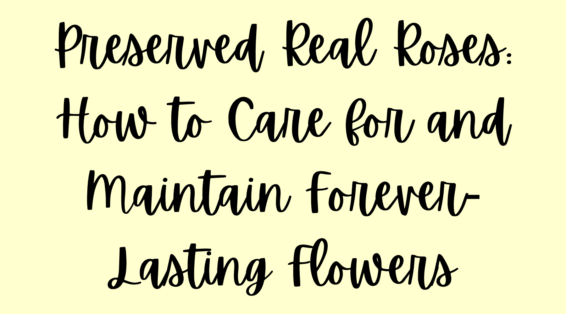 Preserved Real Roses: How to Care for and Maintain Forever-Lasting Flo ...