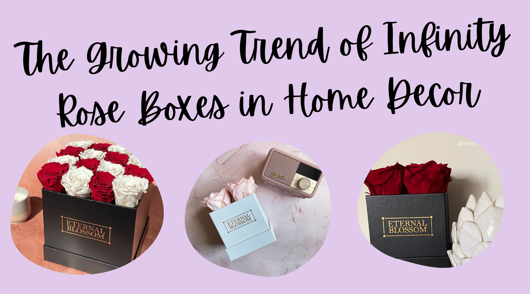 The Growing Trend of Infinity Rose Boxes in Home Decor – Eternal Blossom
