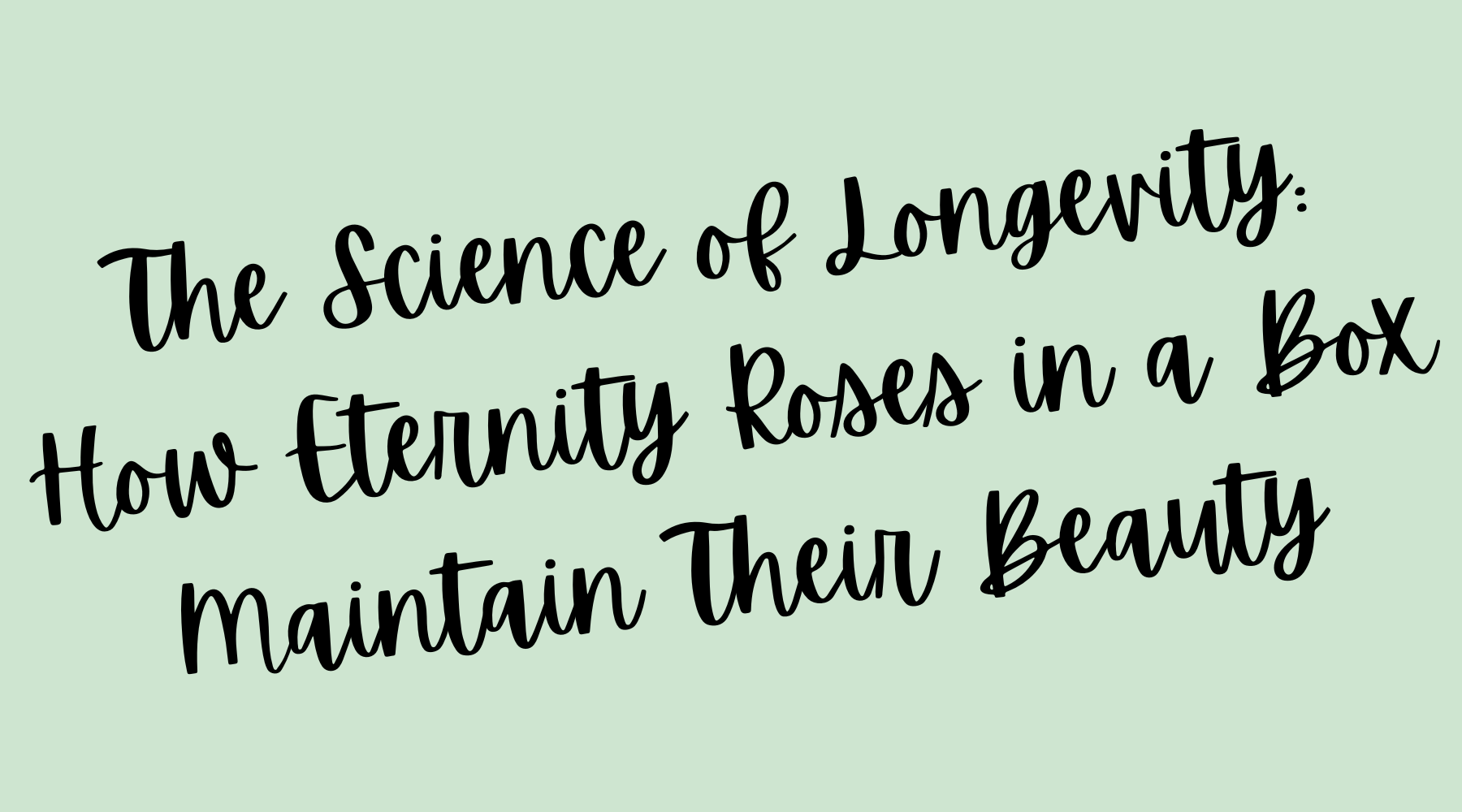 The Science of Longevity: How Eternity Roses in a Box Maintain Their B ...