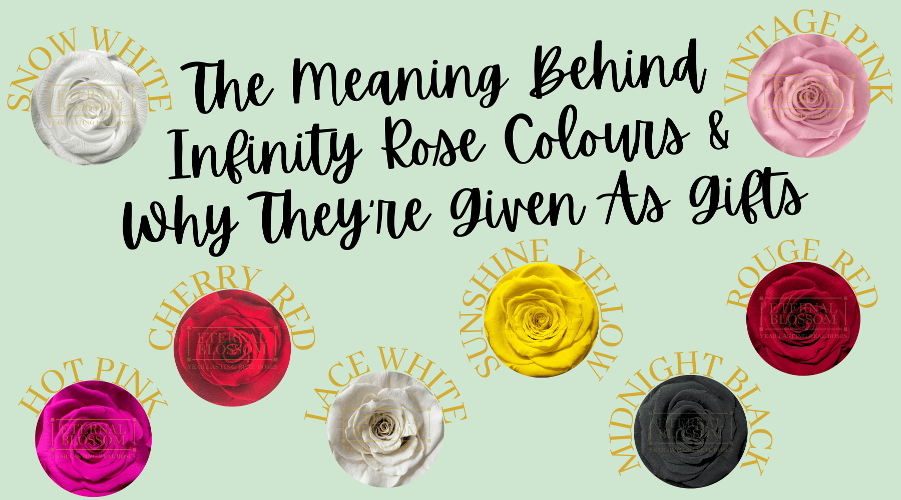 The meaning behind Infinity rose colours & why they're given as gifts ...