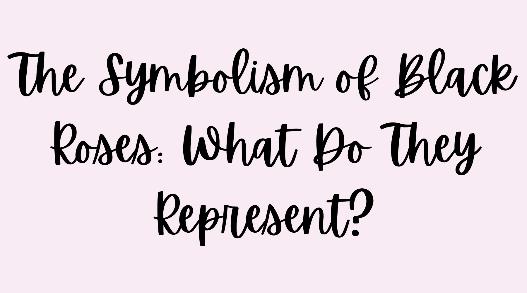 The Symbolism of Black Roses: What Do They Represent? – Eternal Blossom