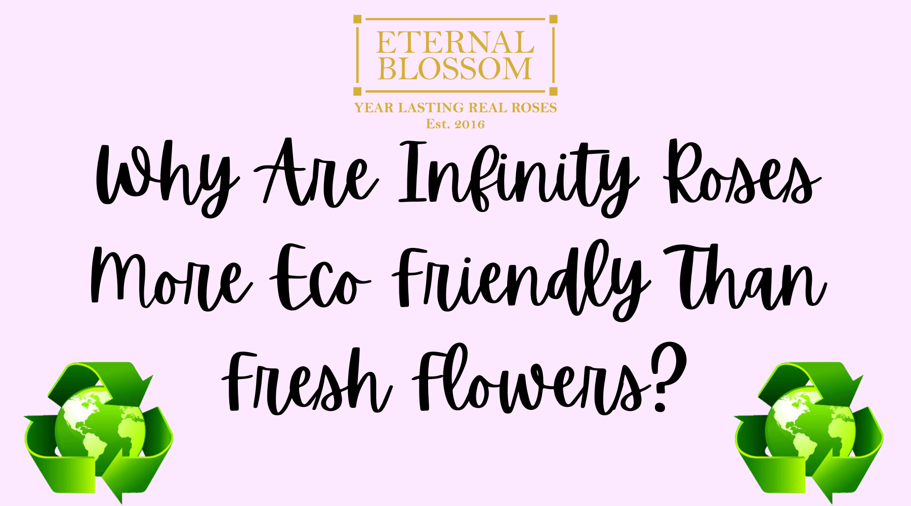 Why are infinity roses more eco friendly than fresh flowers? – Eternal ...
