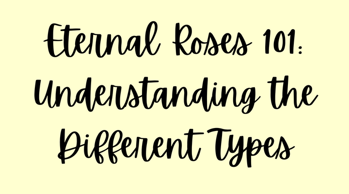 10 Beautiful Flowers in Season This October in the UK – Eternal Blossom