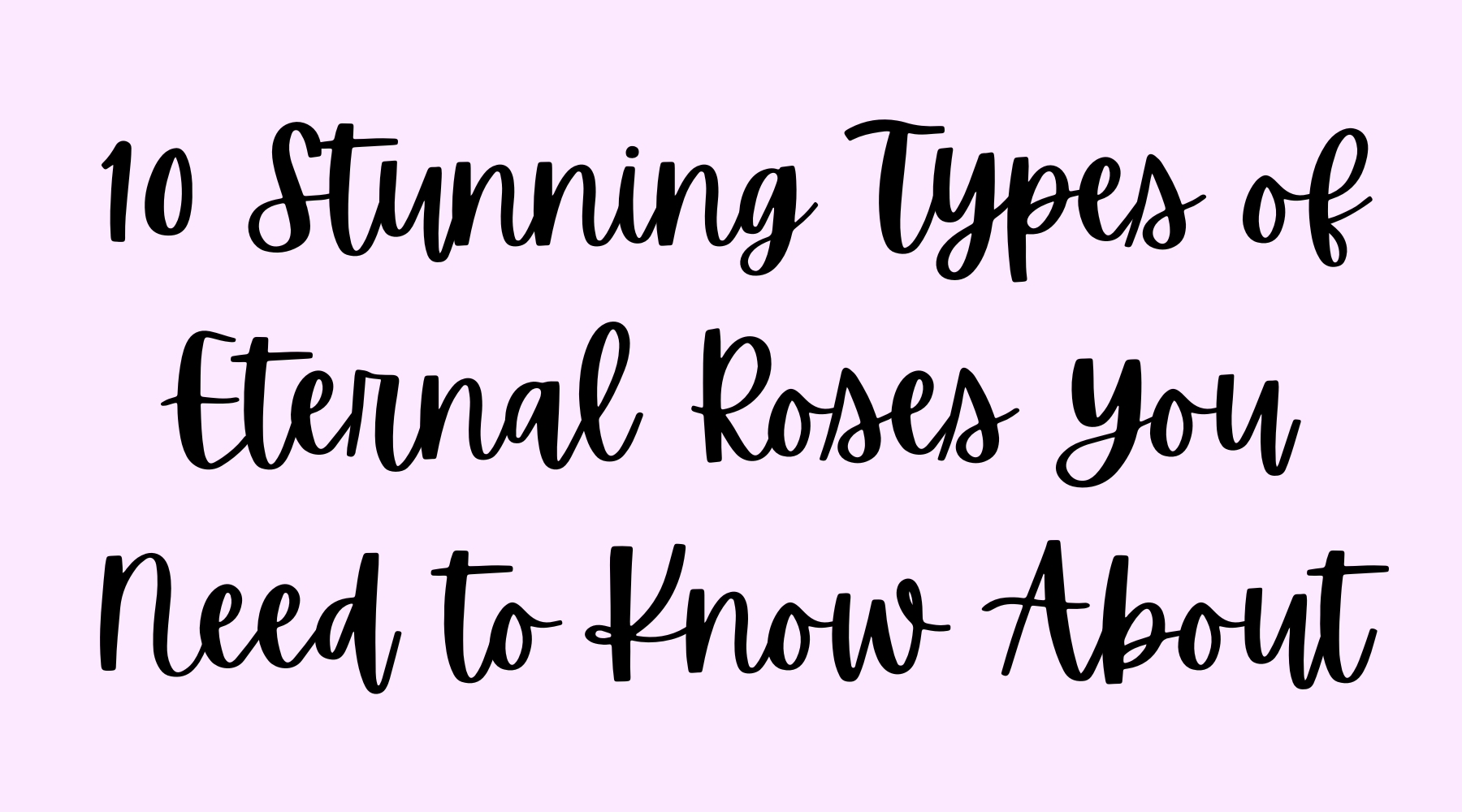 10 Stunning Types of Eternal Roses: A Complete Guide – Eternal Blossom