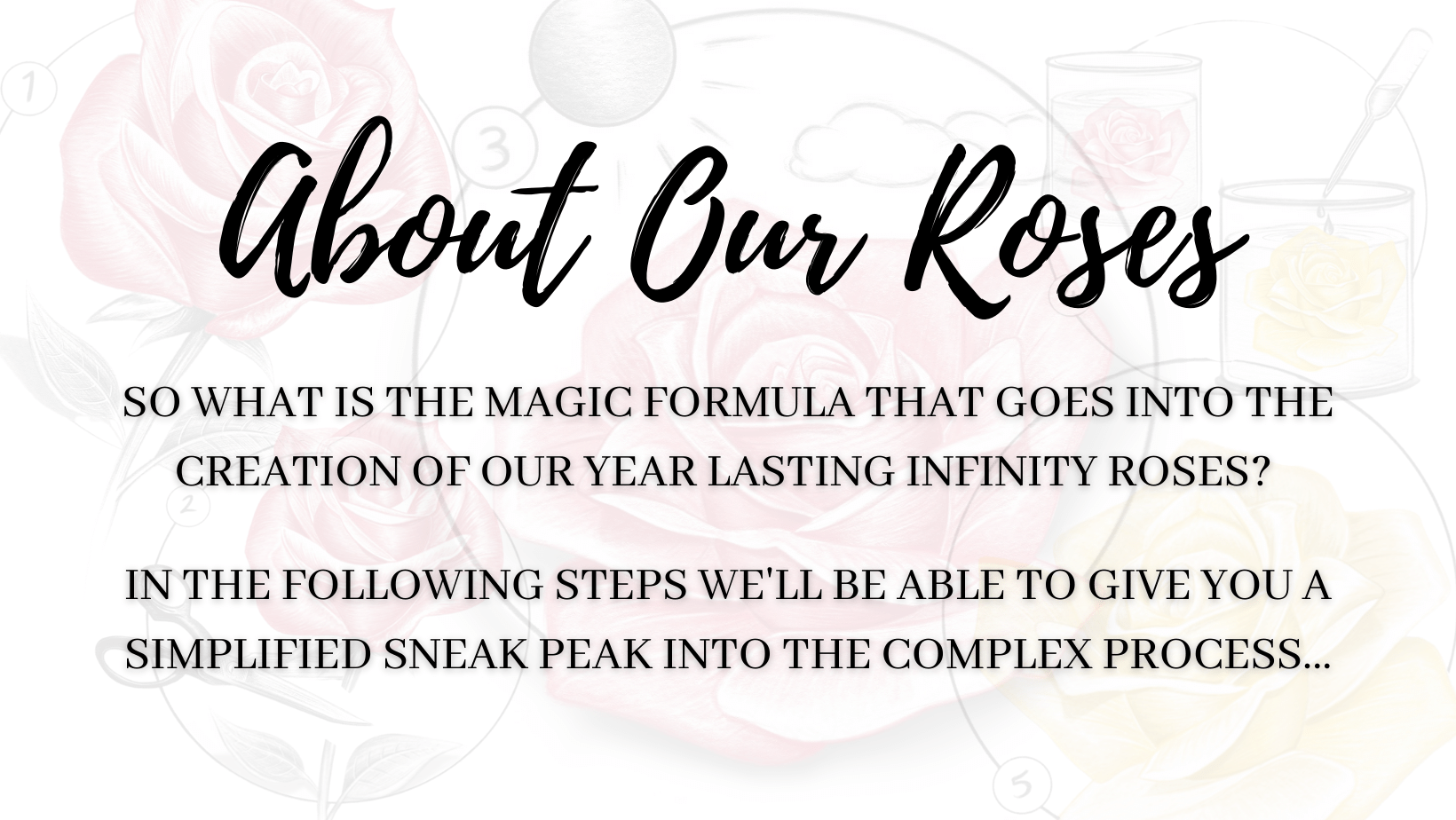 How do Eternal Roses Last So Long? Find Out Here... – Eternal Blossom