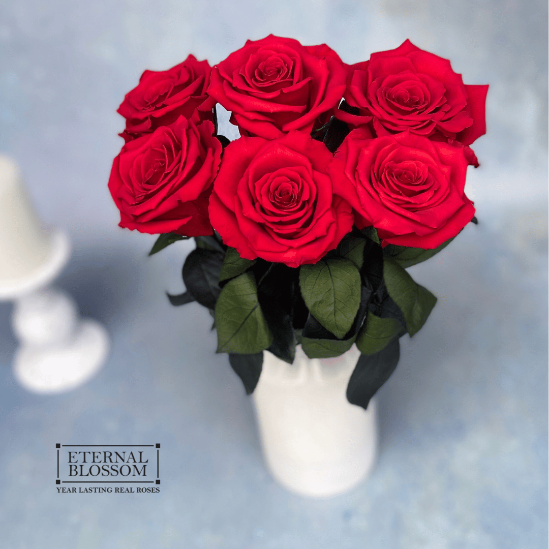 Half a Dozen Long Stem Roses - Year Lasting Infinity Roses – Eternal ...