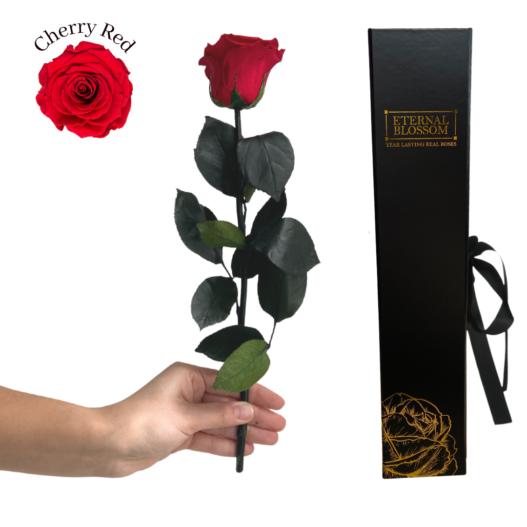 Eternal Blossom | Individual Long Stem | Infinity Rose Year Lasting