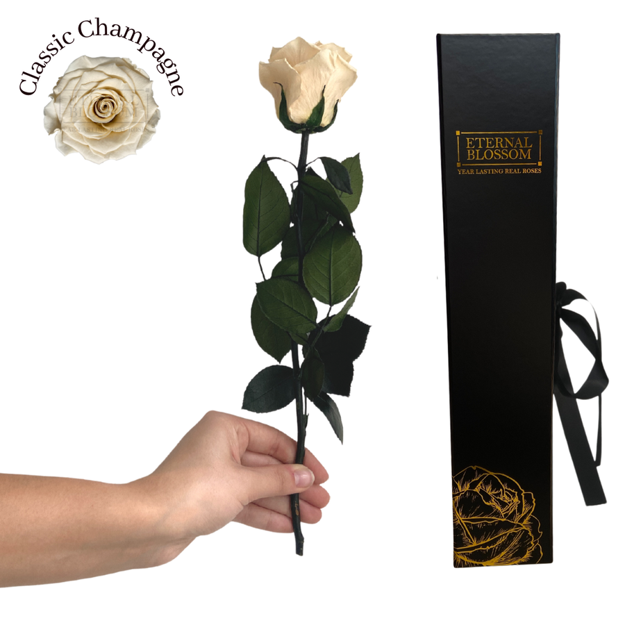 Eternal Blossom | Individual Long Stem | Infinity Rose Year Lasting