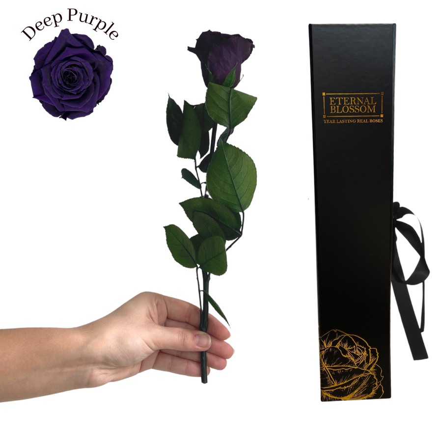 Eternal Blossom | Individual Long Stem | Infinity Rose Year Lasting