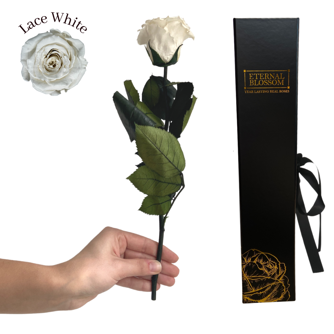 Eternal Blossom | Individual Long Stem | Infinity Rose Year Lasting