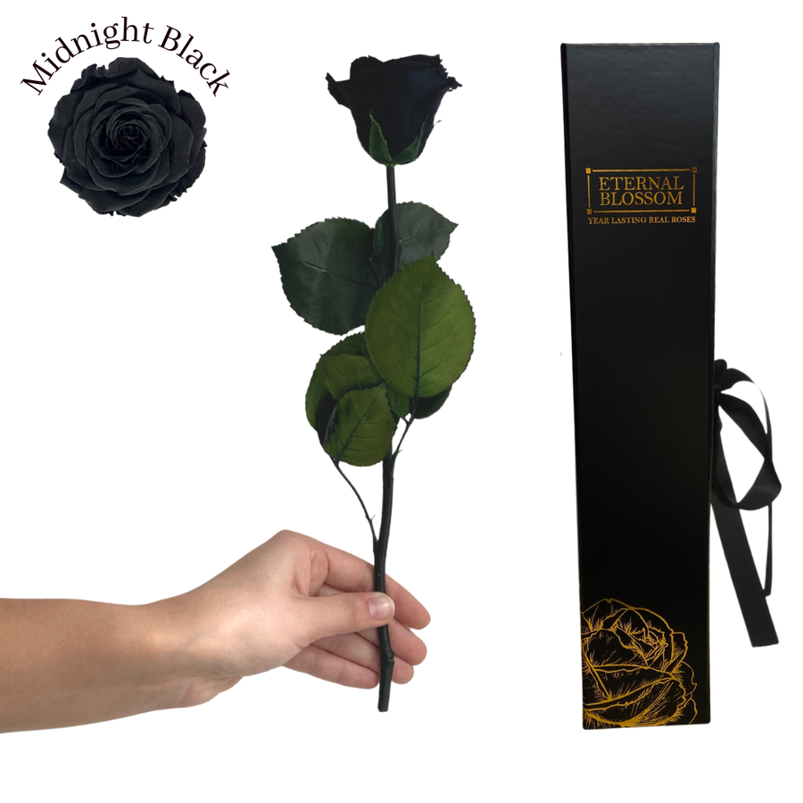 Eternal Blossom | Individual Long Stem | Infinity Rose Year Lasting