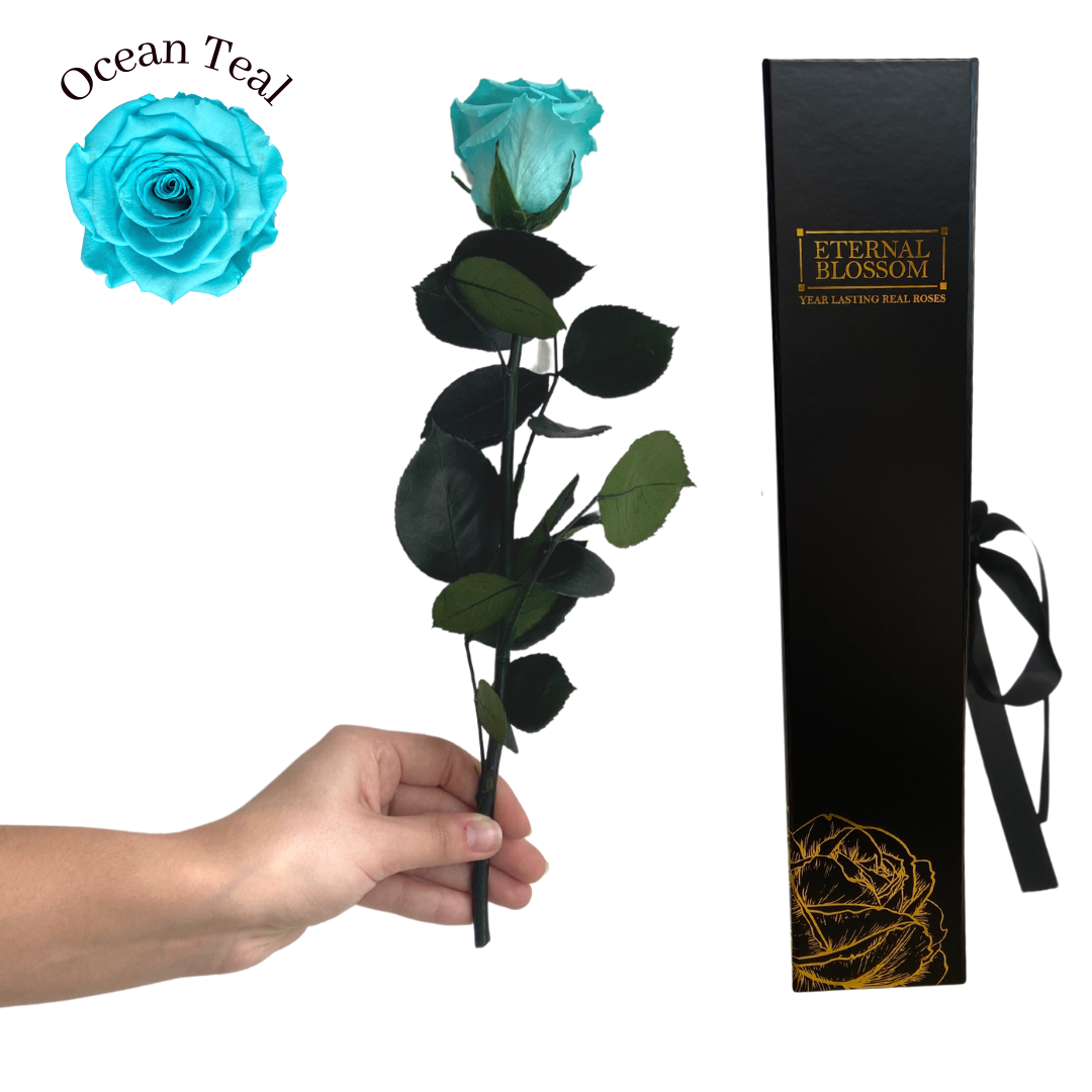Eternal Blossom | Individual Long Stem | Infinity Rose Year Lasting