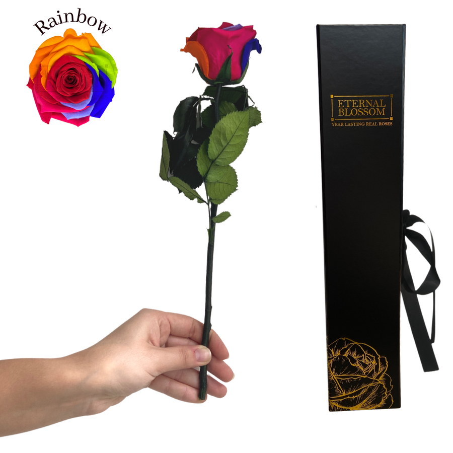 Eternal Blossom | Individual Long Stem | Infinity Rose Year Lasting