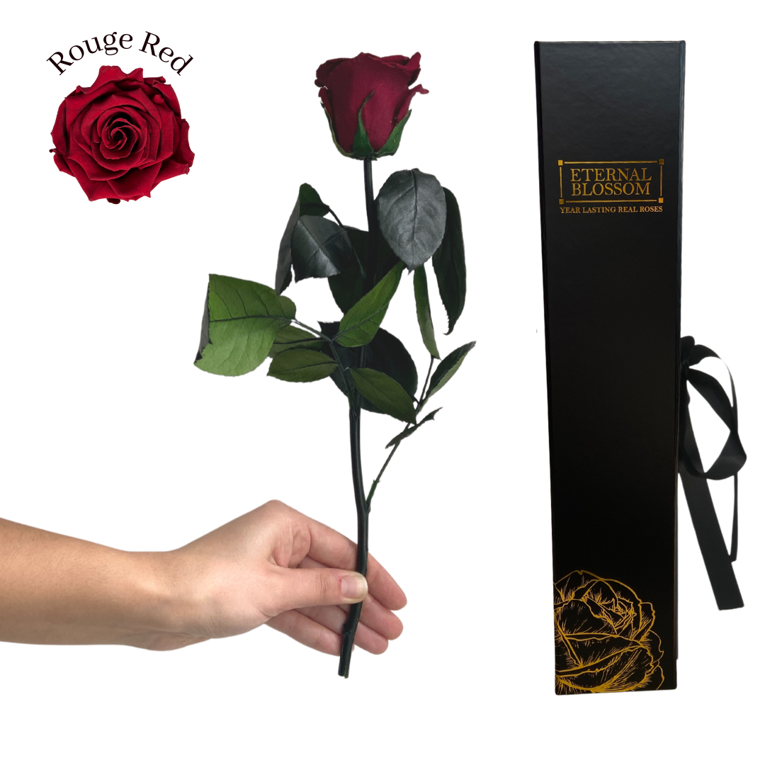 Eternal Blossom | Individual Long Stem | Infinity Rose Year Lasting