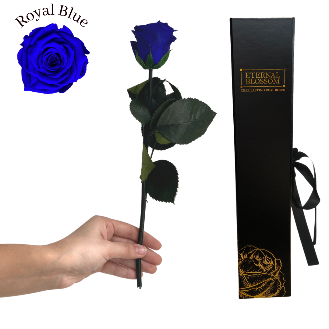 Eternal Blossom | Individual Long Stem | Infinity Rose Year Lasting