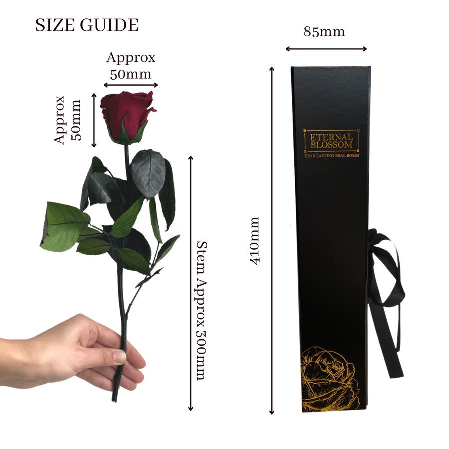 Eternal Blossom | Individual Long Stem | Infinity Rose Year Lasting