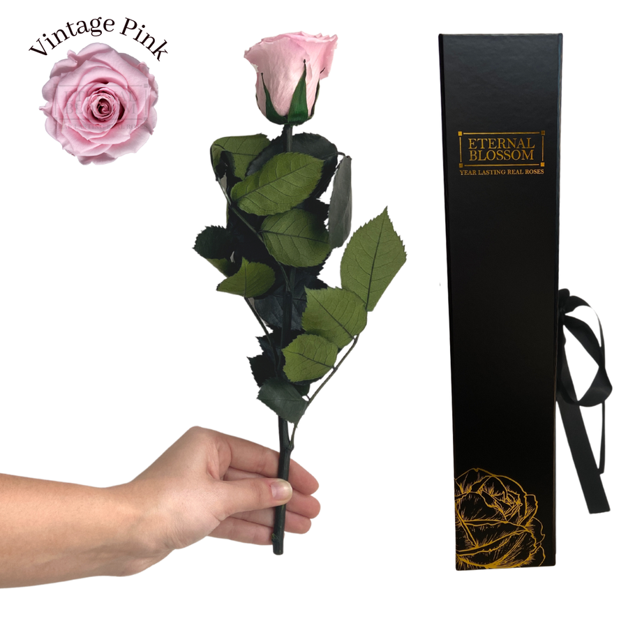 Eternal Blossom | Individual Long Stem | Infinity Rose Year Lasting