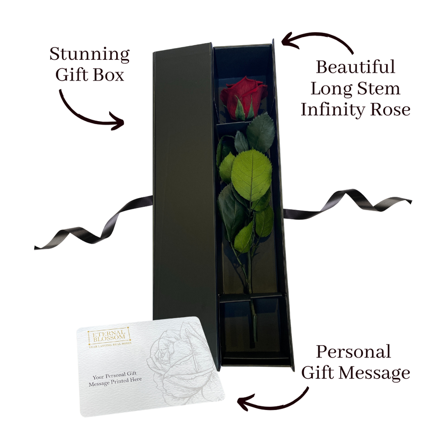 Eternal Blossom | Individual Long Stem | Infinity Rose Year Lasting