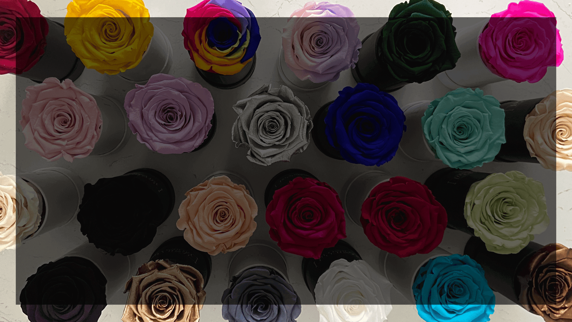 Roses In A Box That Last A Year - Sustainably Sourced, Naturally ...