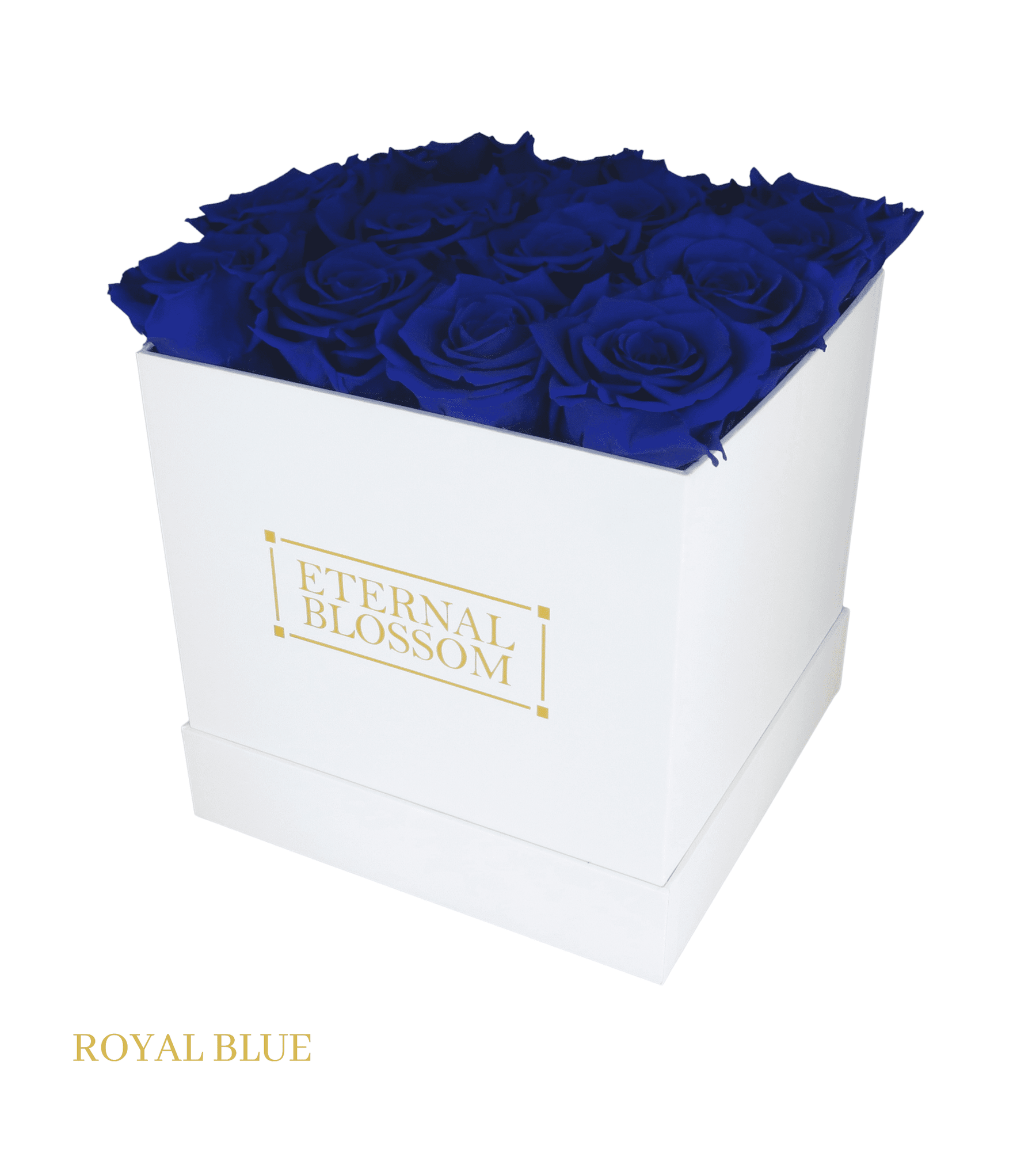 Eternal Blossom | 16 Rose Box | Infinity Roses Year Lasting (White Box)