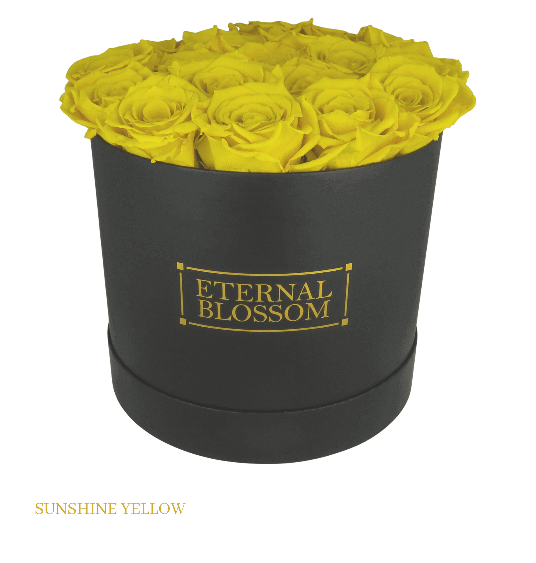 Eternal Blossom | Large Round Rose Box | Infinity Roses Year Lasting ...