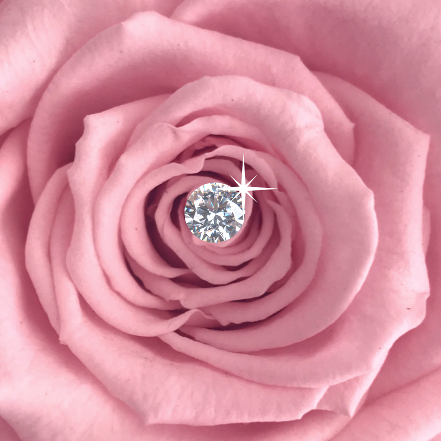 Diamante For Individual Rose – Eternal Blossom