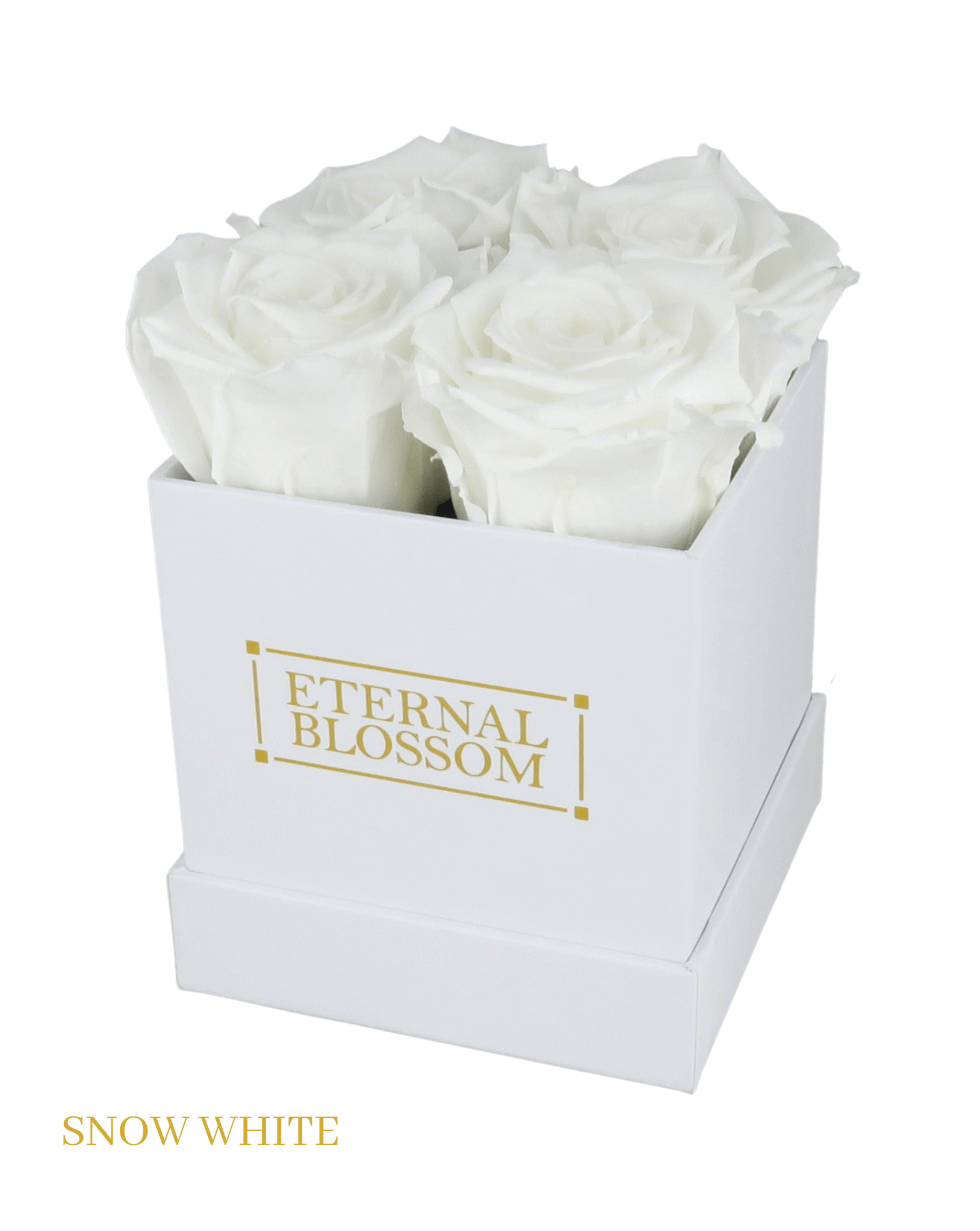 Eternal Blossom | 4 Rose Box | Infinity Roses Year Lasting (White Box)