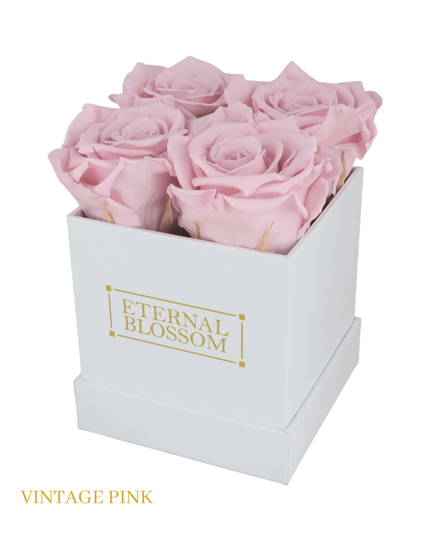 Eternal Blossom | 4 Rose Box | Infinity Roses Year Lasting (White Box)