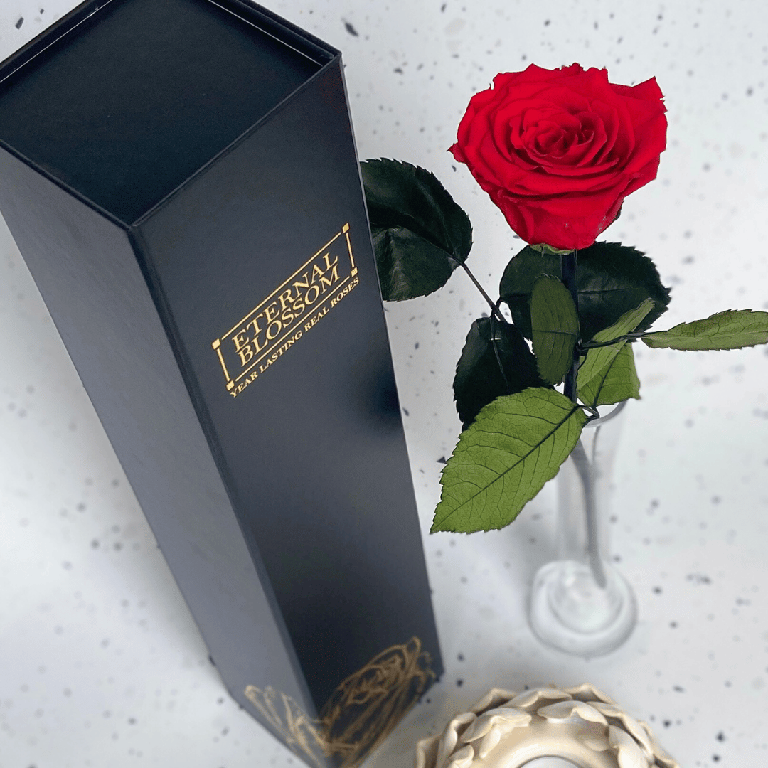 Eternal Blossom | Individual Long Stem | Infinity Rose Year Lasting