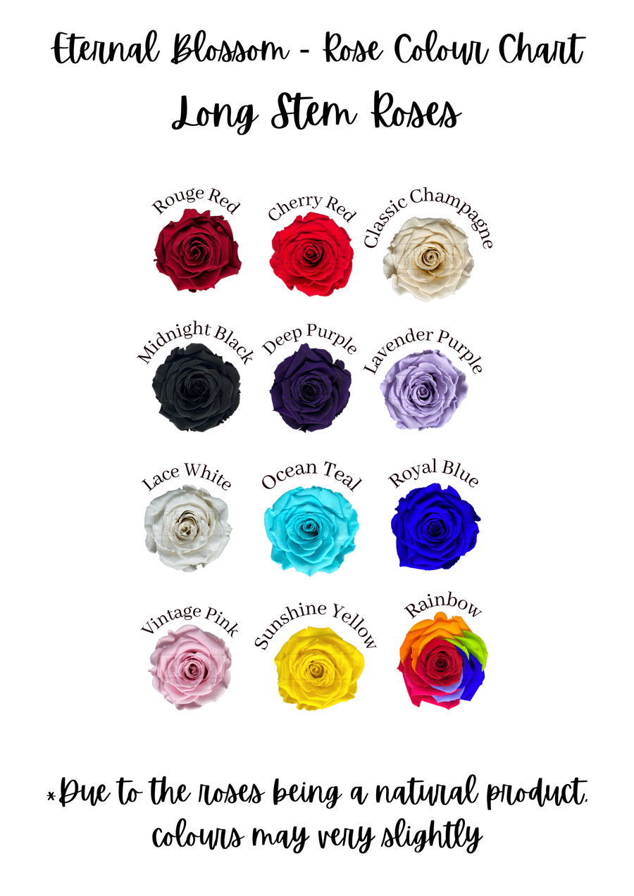 Eternal Blossom | Individual Long Stem | Infinity Rose Year Lasting
