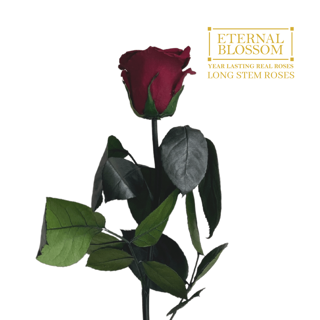 Eternal Blossom | Individual Long Stem | Infinity Rose Year Lasting