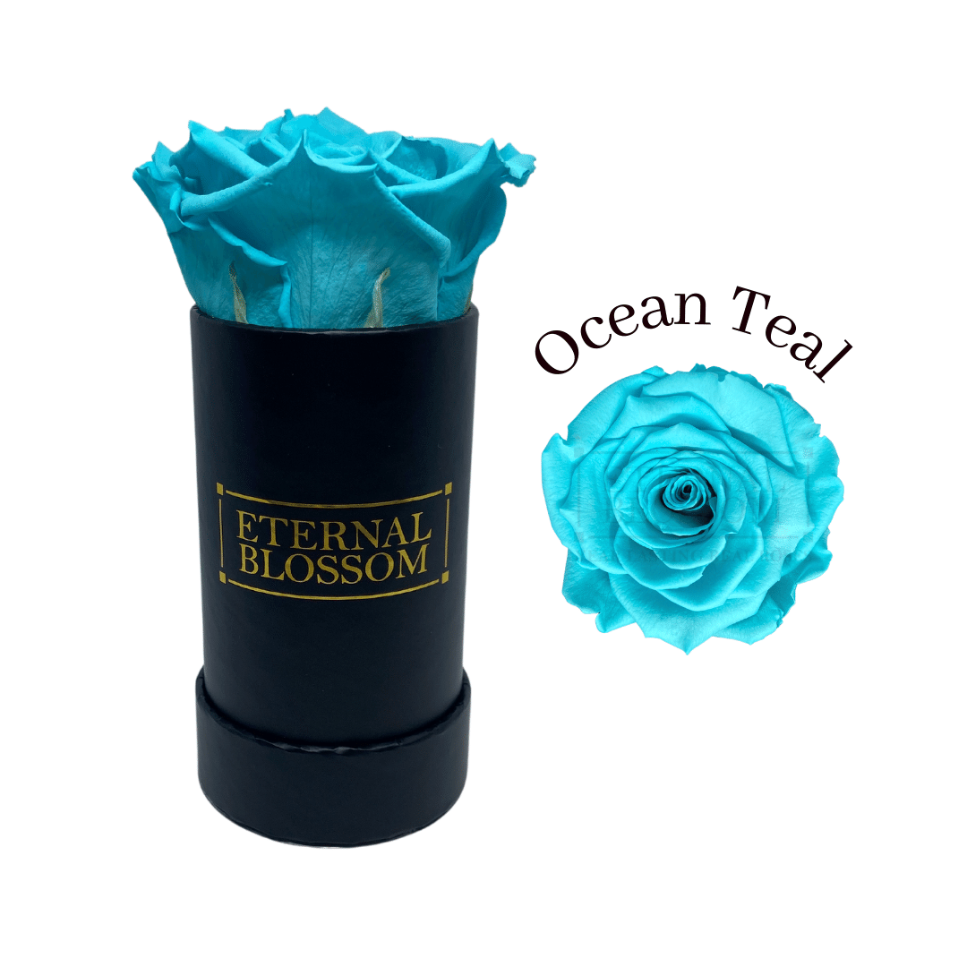 Eternal Blossom | Individual Rose Box | Infinity Roses Year Lasting ...
