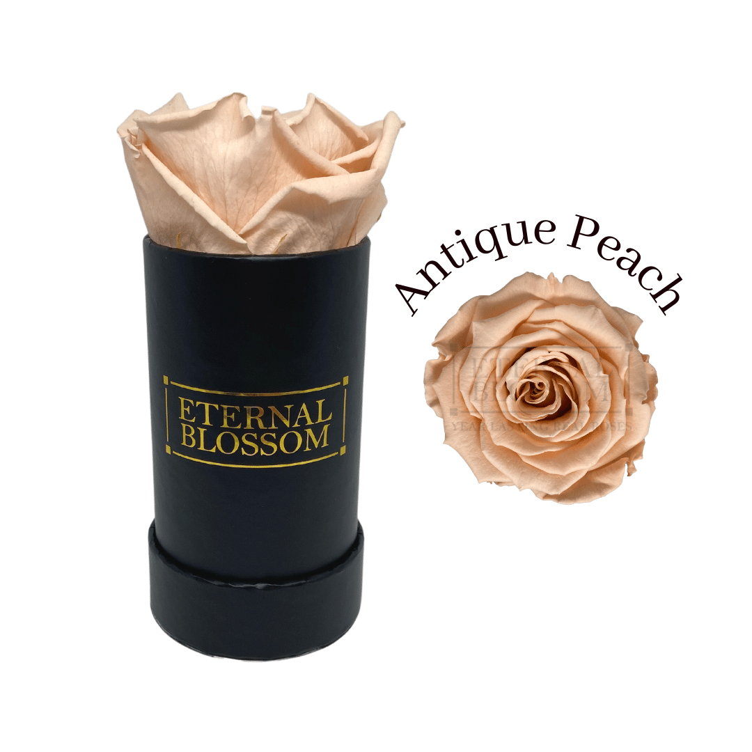 Eternal Blossom | Individual Rose Box | Infinity Roses Year Lasting ...
