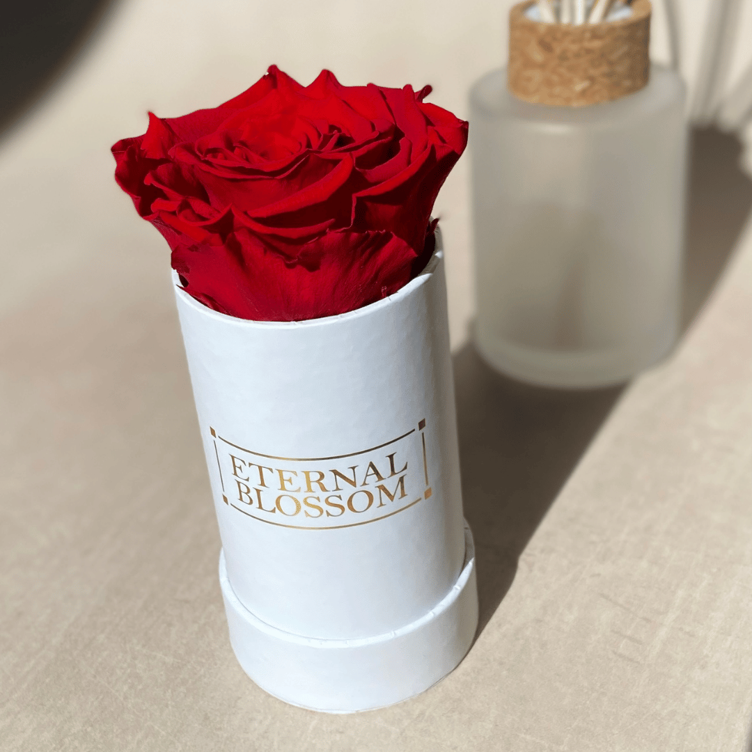 Eternal Blossom | Individual Rose Box | Infinity Roses Year Lasting ...
